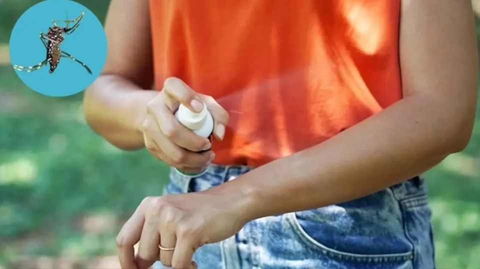 ¿Donde aplicar más eficientemente el Repelente? – Fundación Padre ...